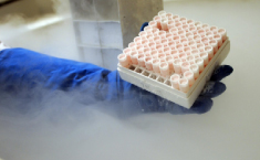 Stem cell program protocols | Stem cell education workshop